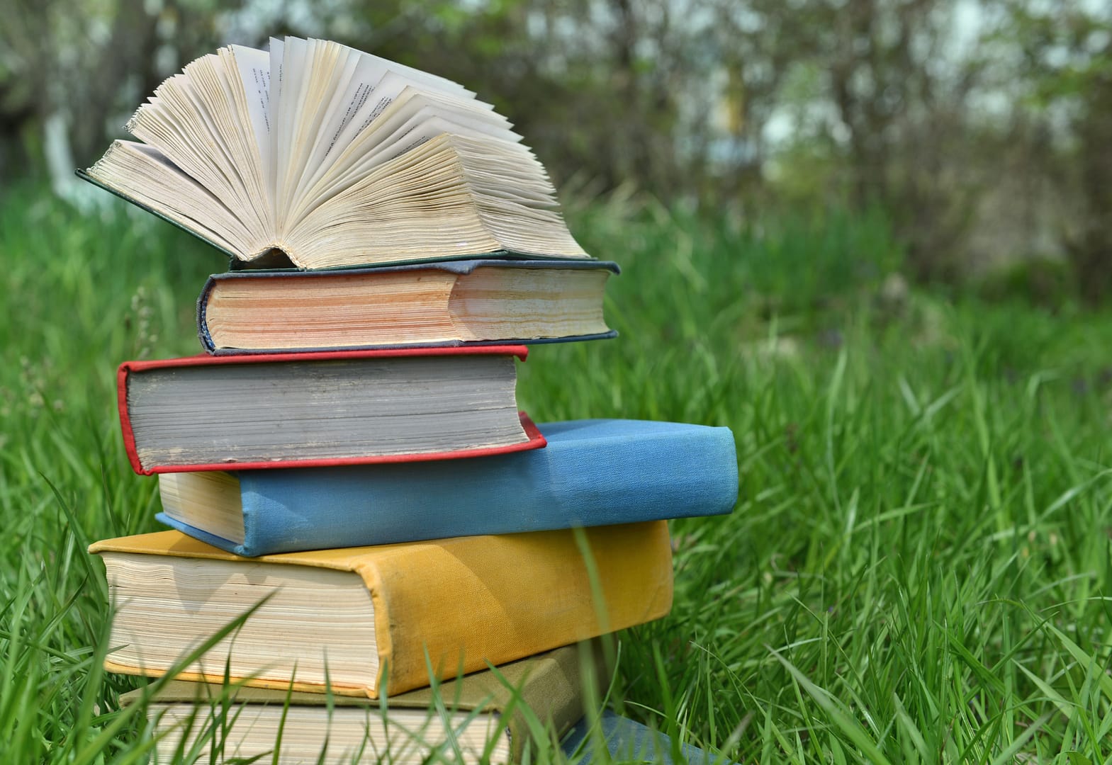 Storybook Walks