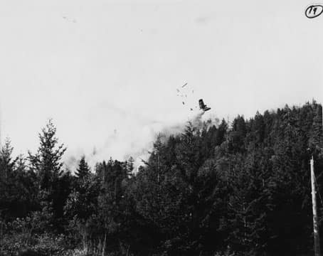 City of Langford Opens New Community Park in Memory of Flying Firemen ...
