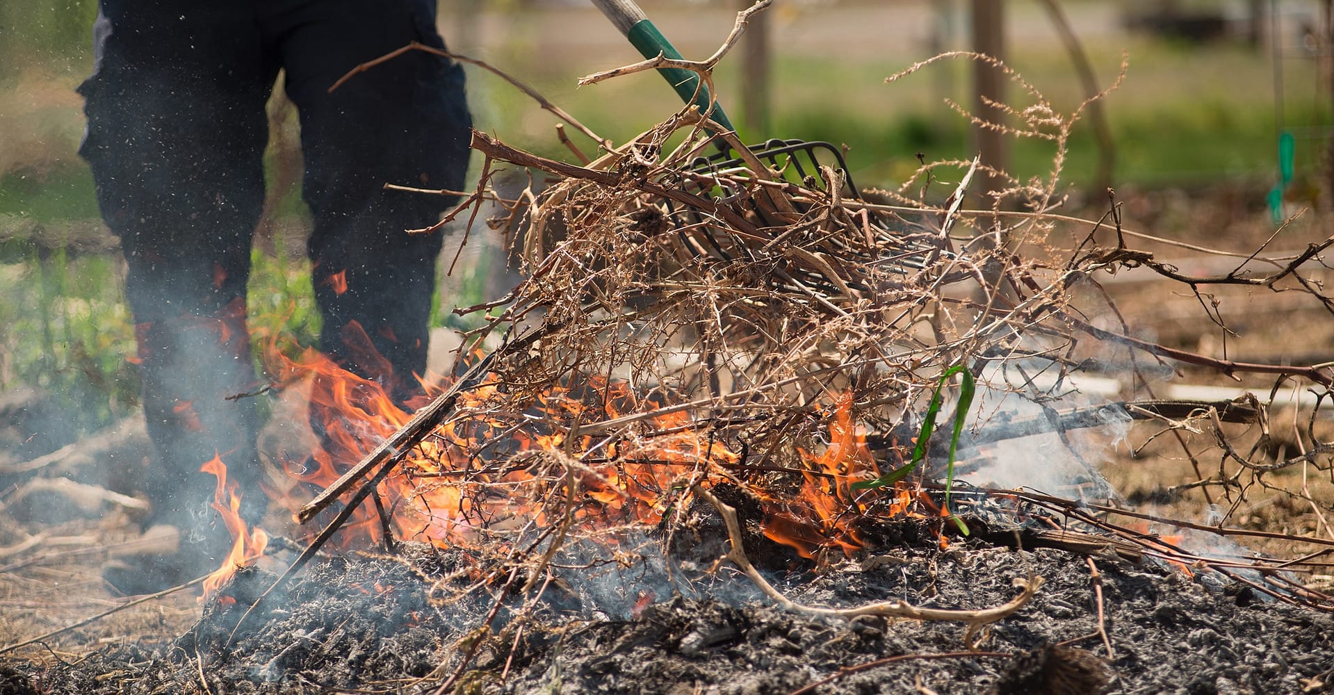 Please ensure Javascript is enabled for purposes of website accessibility